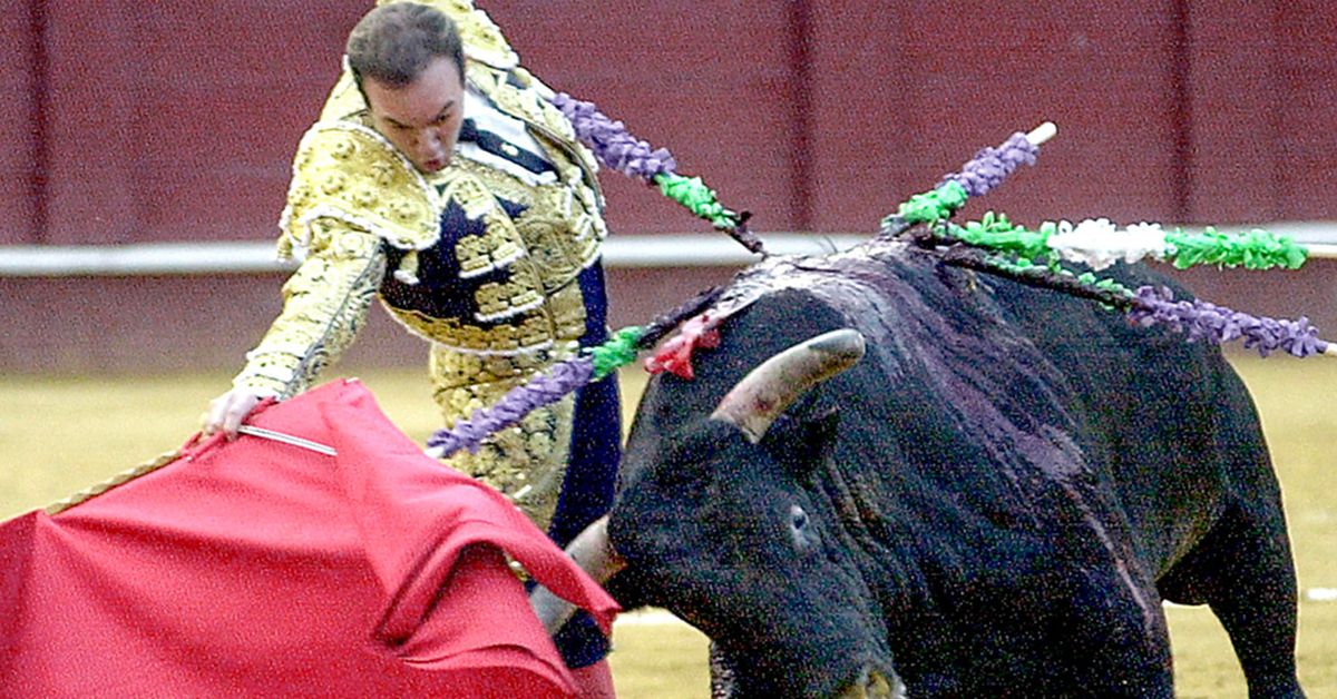 Un toro mata al diestro retirado Ricardo Ortiz en los corrales de la ...