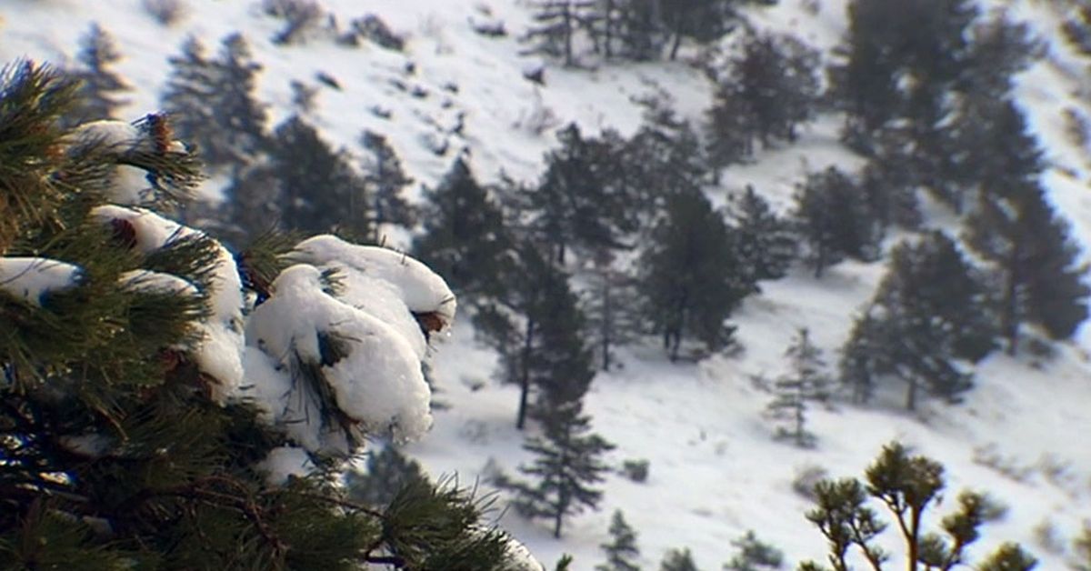 La nieve no se va