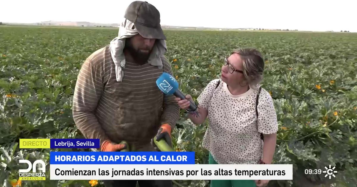 Jornada intensiva en el campo andaluz por las altas temperaturas