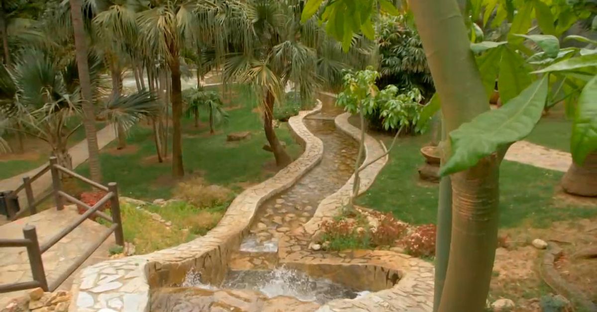 El jardín Botánico Molino de Inca, un oasis de tranquilidad