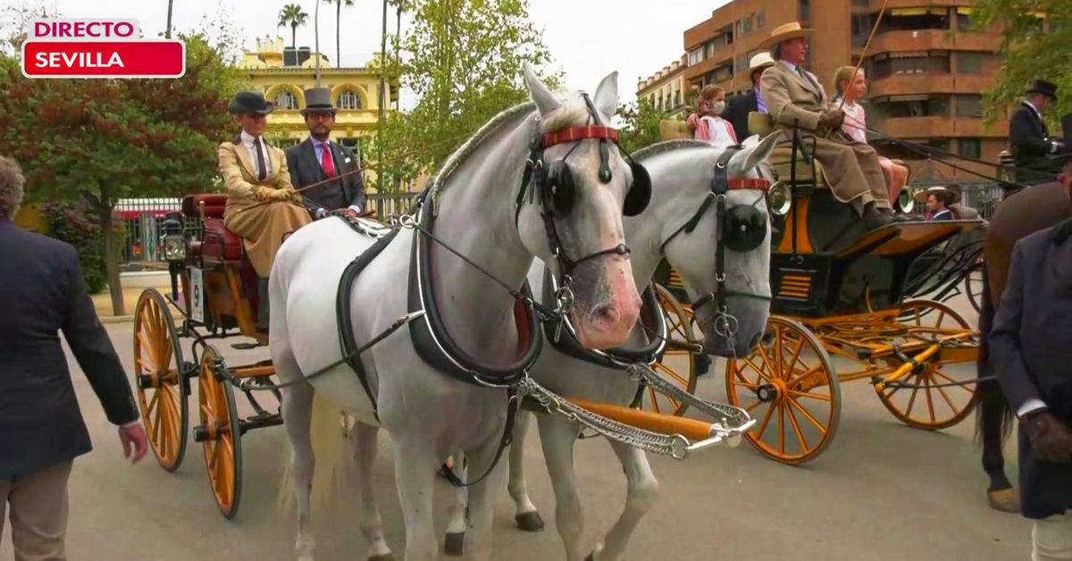 Infinidad de coches de caballos se dan cita en Sevilla con motivo de la ...