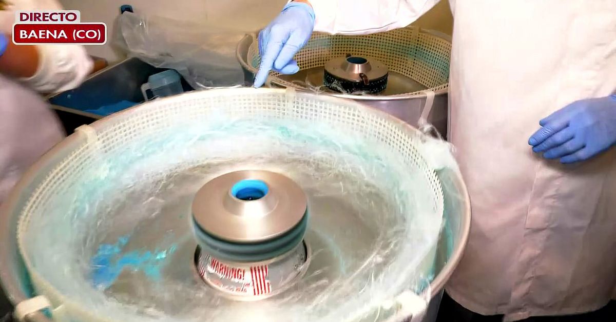 Una fábrica cordobesa que endulza a medio mundo