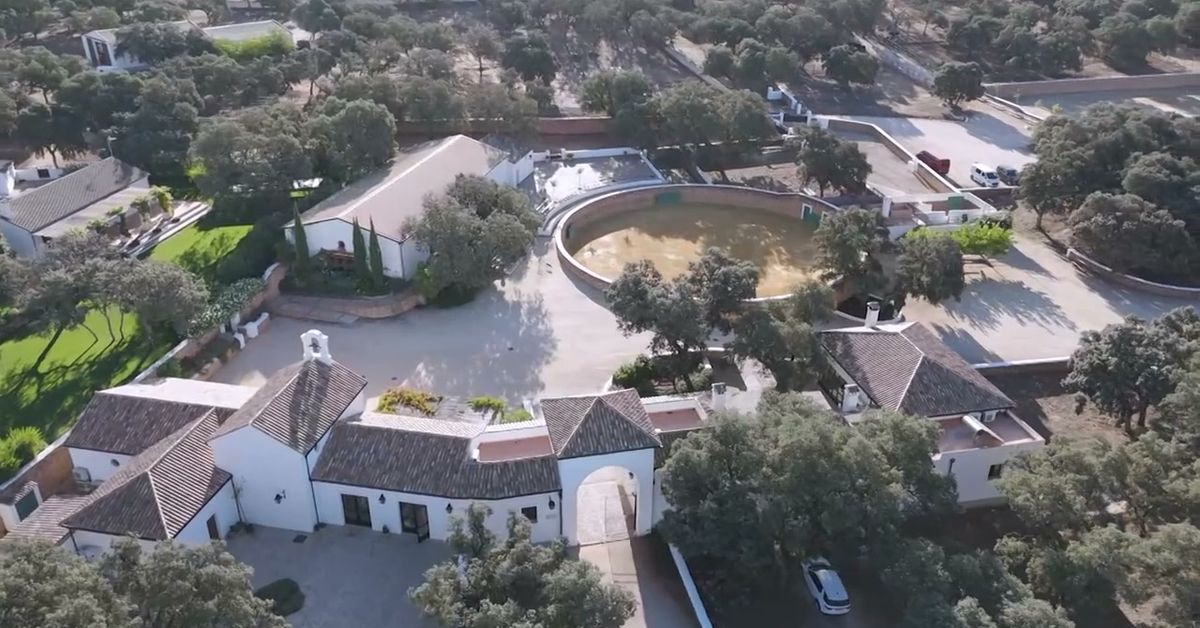 La labor de la ganadería Reservatauro para la cultura del toro bravo y ...