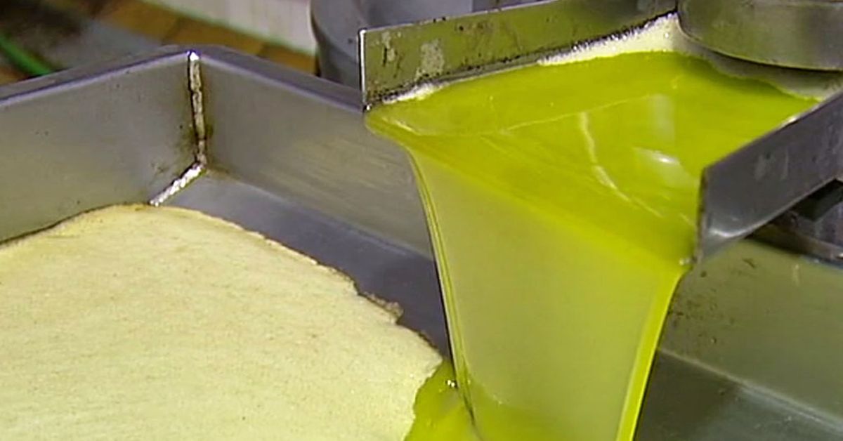 Ultrasonidos para extraer aceite de oliva de la mejor calidad