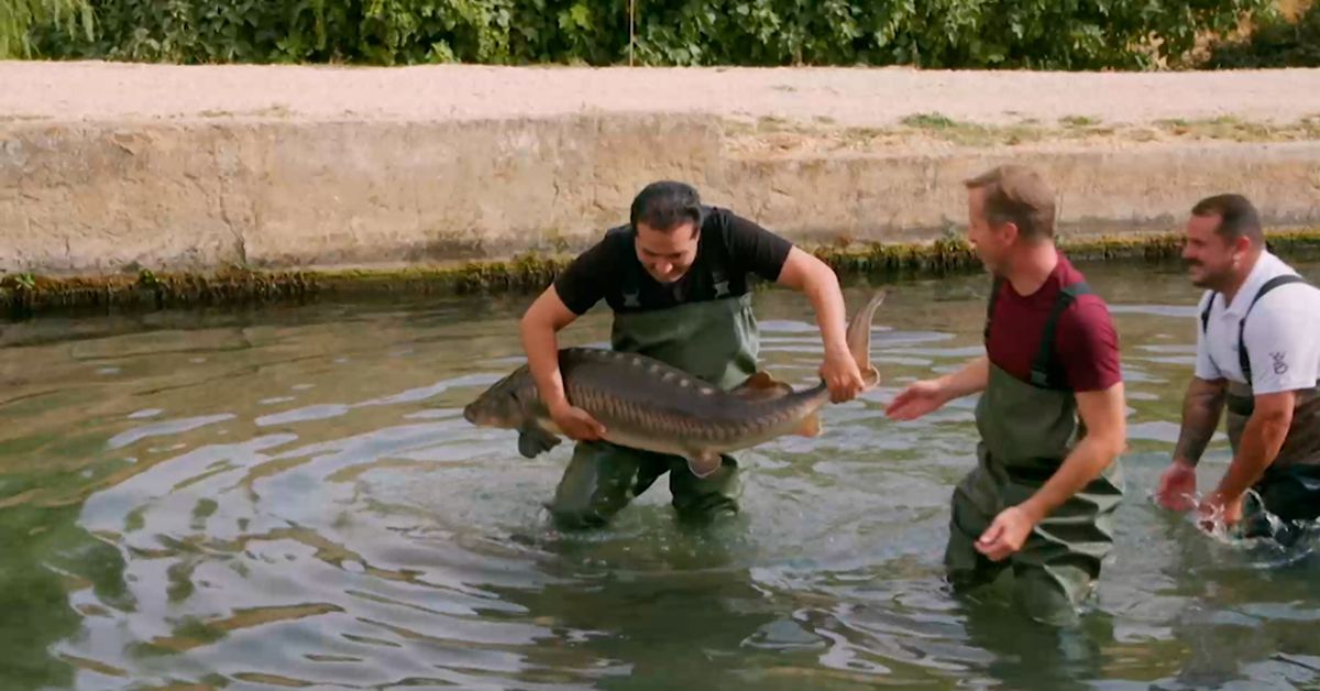 Los Compadres se la juegan como albañiles, magos y catadores de caviar