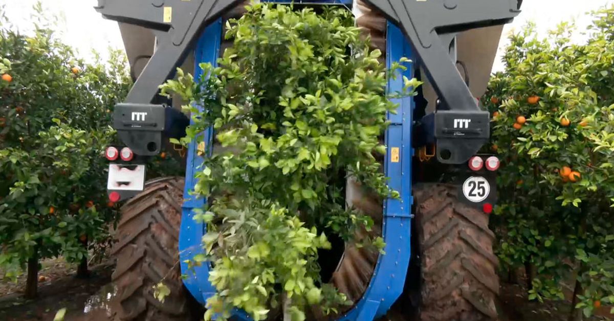 Naranjas de alta tecnología