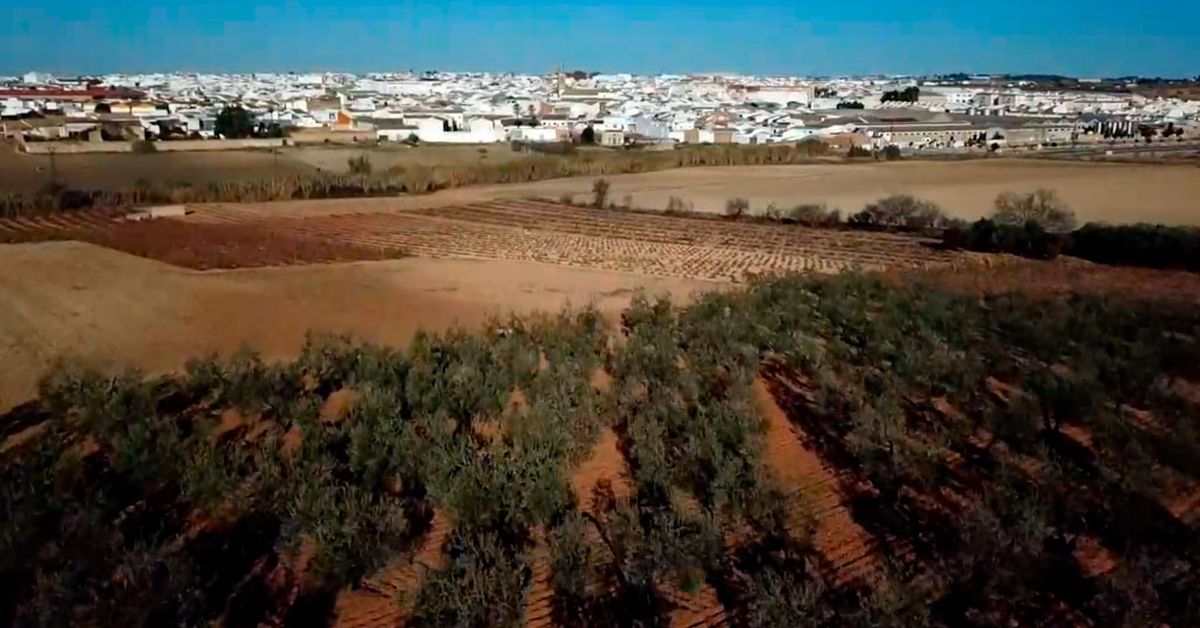 Bollullos Par del Condado, un destino perfecto para el turismo ...