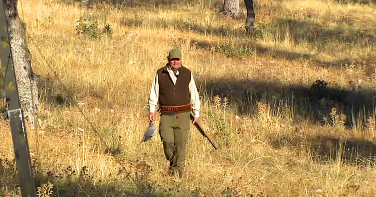 Una buena jornada de caza de palomas torcaces en la modalidad 'con cimbel'