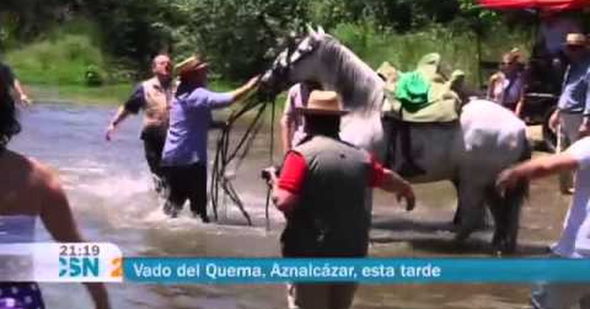 Caballo desbocado hiere a ocho personas en el Vado del Quema
