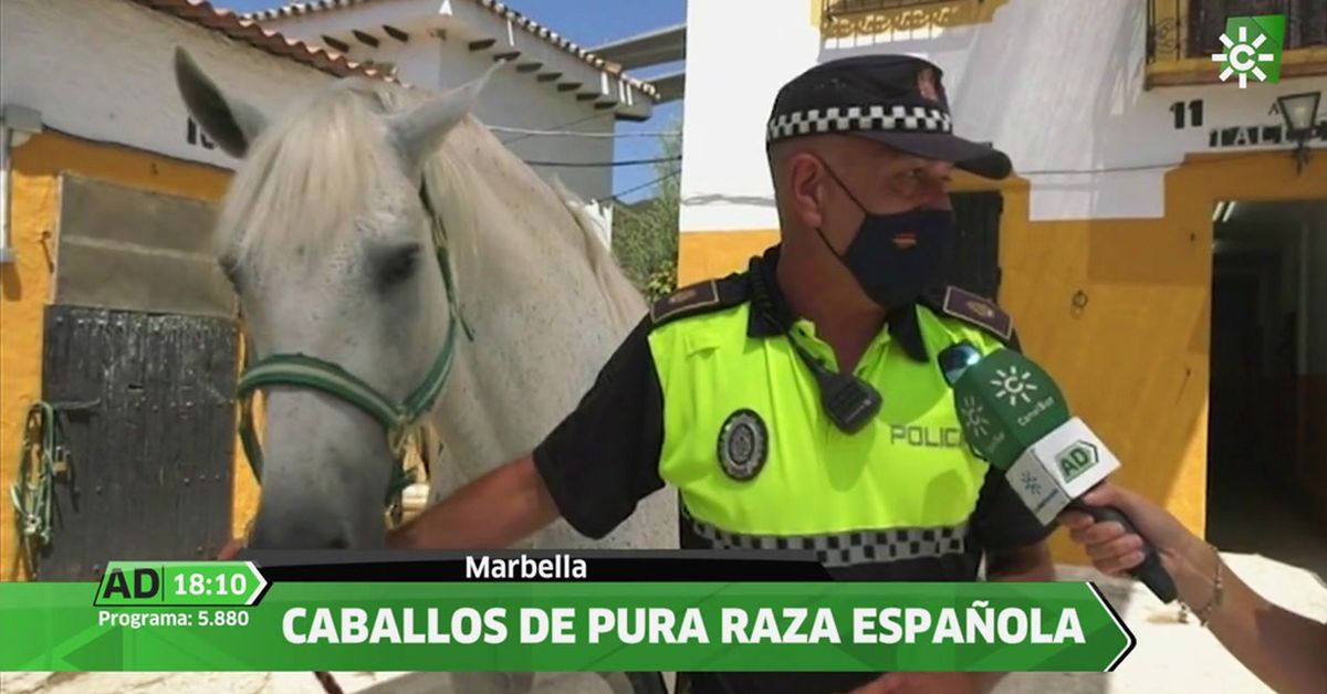 El escuadrón de caballería de la Policía Local de Marbella cumple 30 años