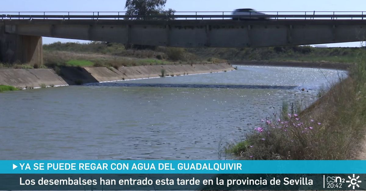 Ya se puede volver a regar en la cuenca del Guadalquivir