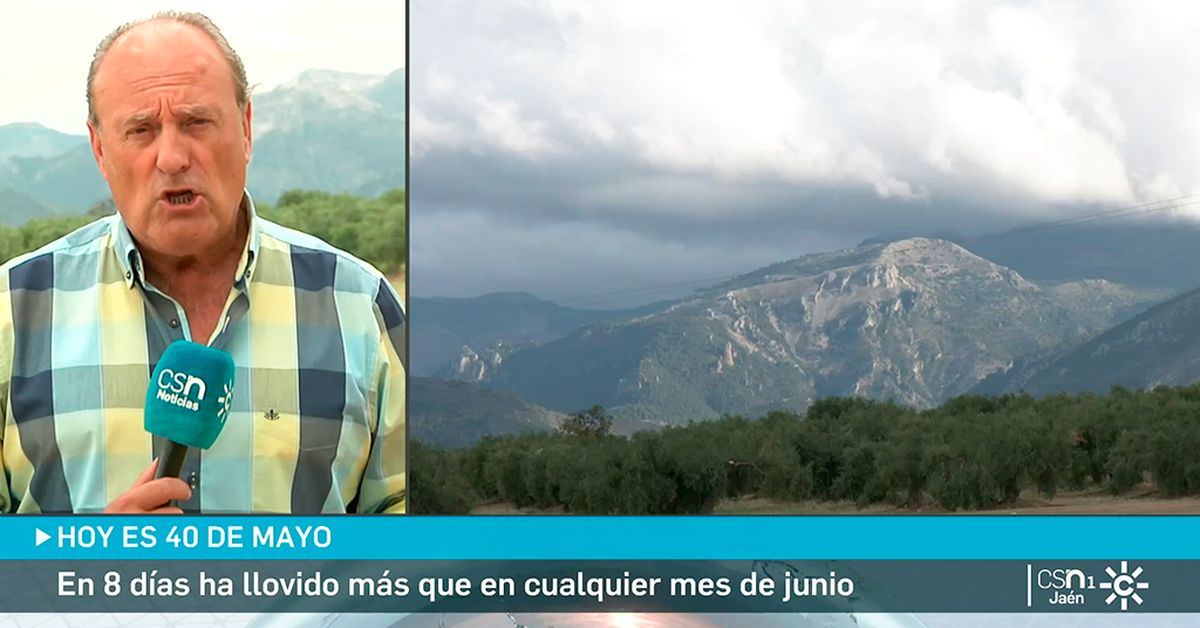 Las lluvias dejan un balance positivo en Andalucía