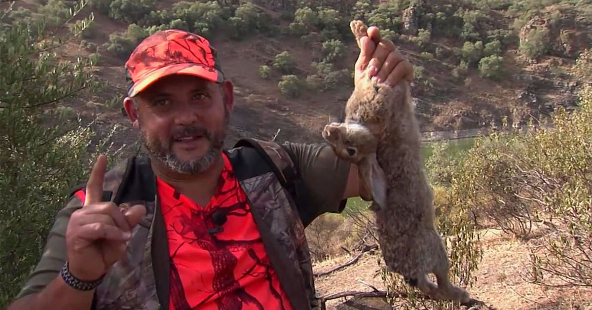 La caza de conejos en mano y desde puesto fijo