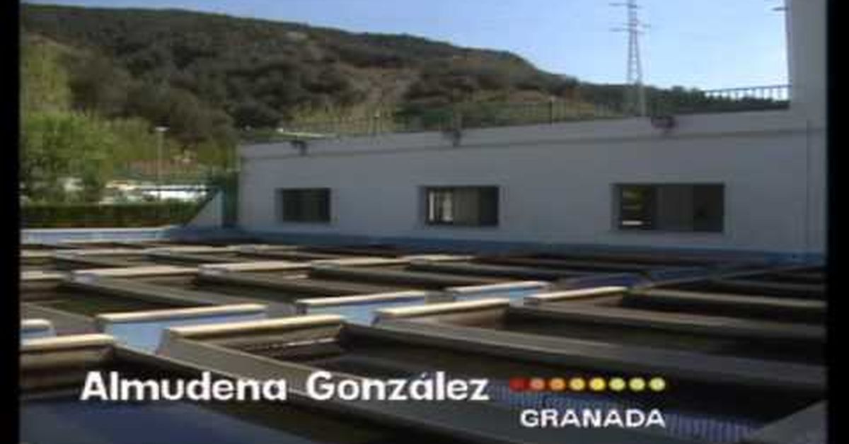 Inauguración de planta depuradora en Cenes (1993)