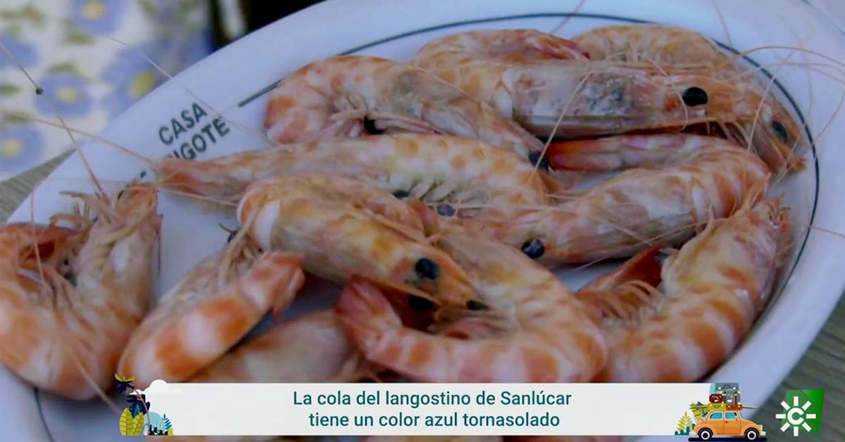 El langostino de Sanlúcar de Barrameda, una exquisitez a la que nadie ...