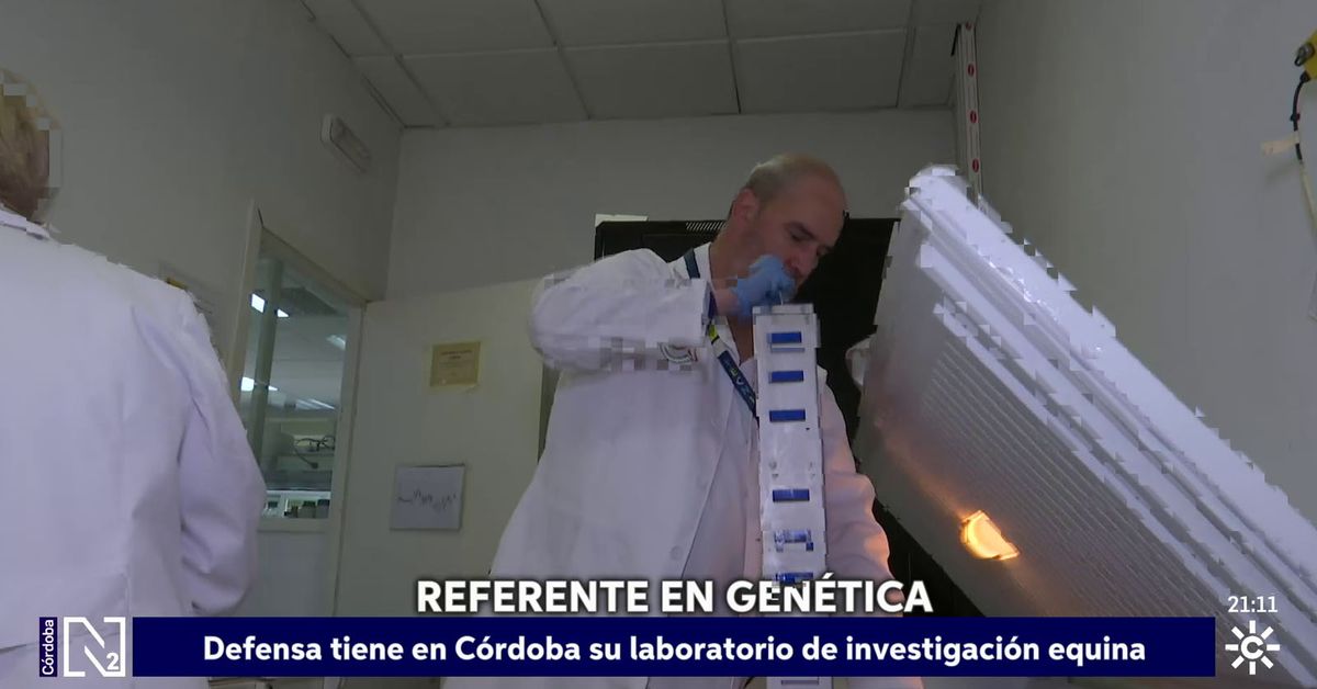 Córdoba, referente en genética caballar