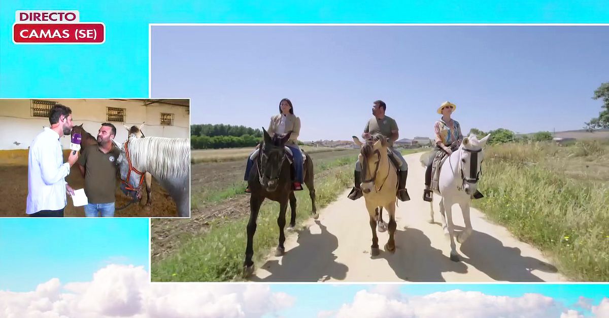 Manu, el cuidador que ofrece una segunda vida a los caballos mayores