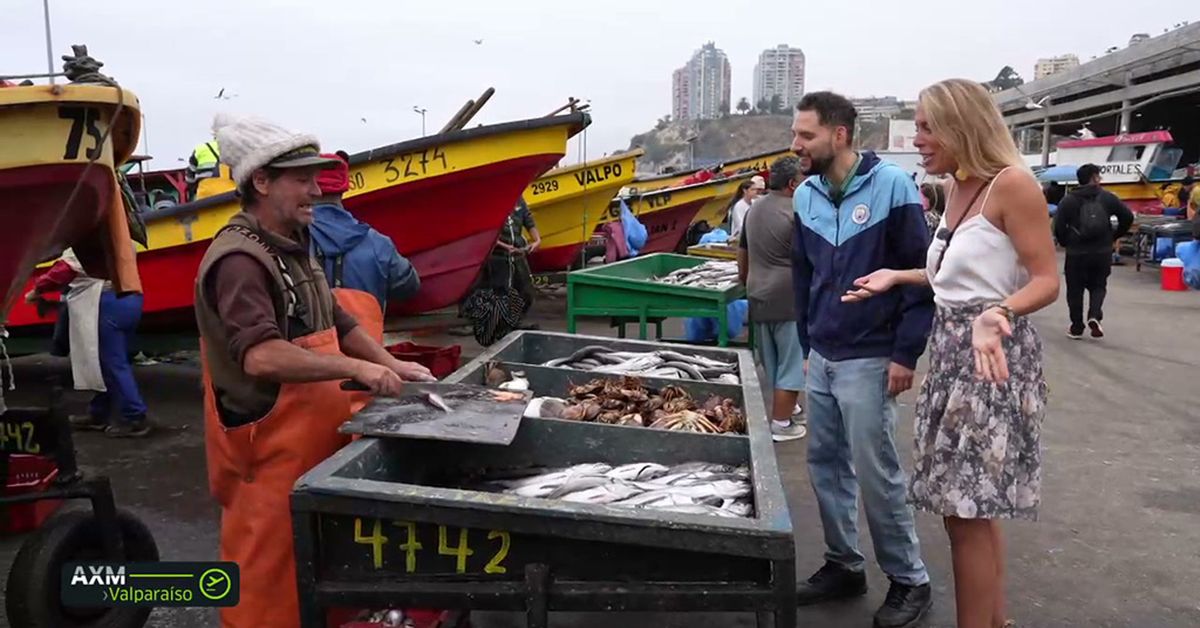 La Caleta Portales es el corazón de la pesca artesanal que despierta a ...