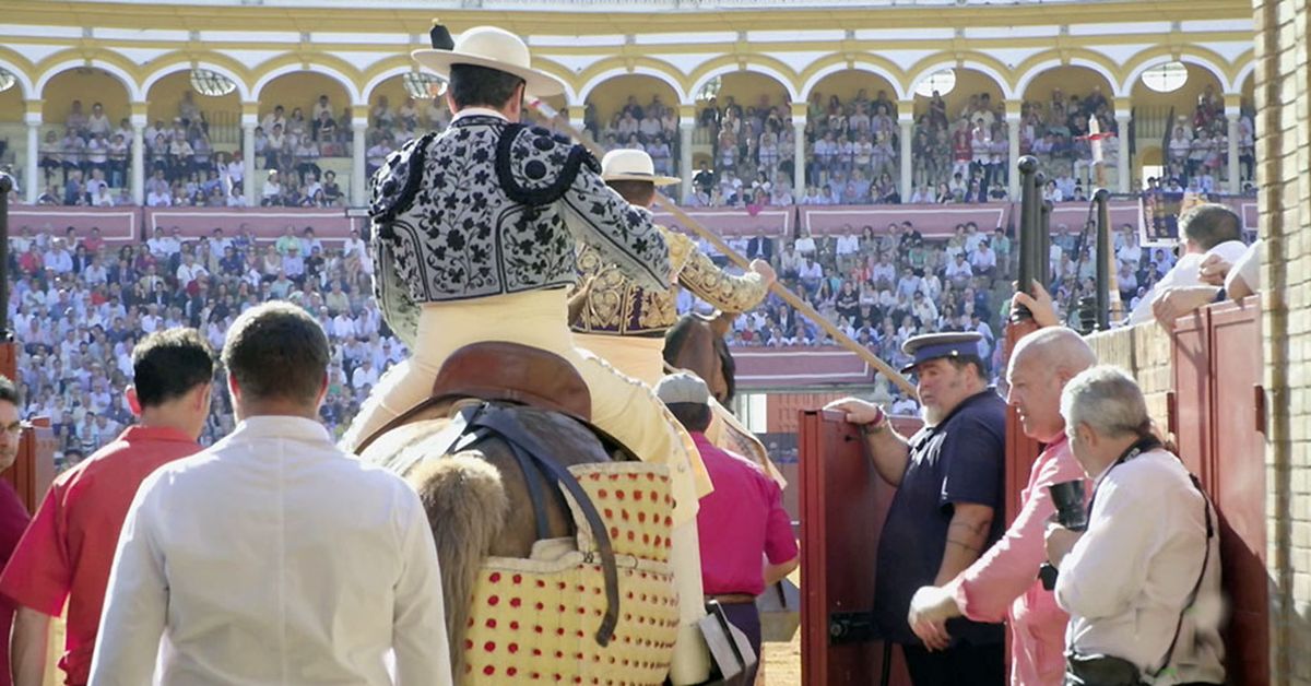 Los caballos de picar y los campeones de la Yeguada Cárdenas ...