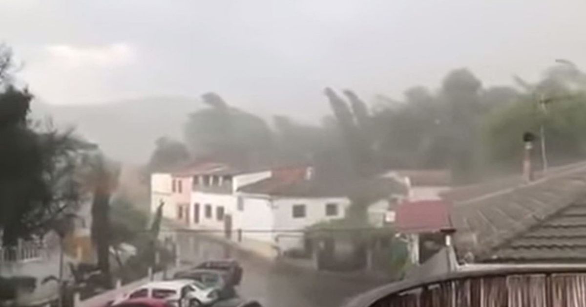 Una fuerte tormenta con viento siembra el pánico en Mogón