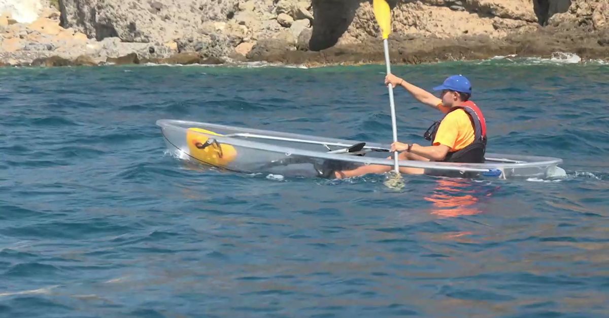 En las playas volcánicas de Níjar puedes navegar sobre las posidonias ...