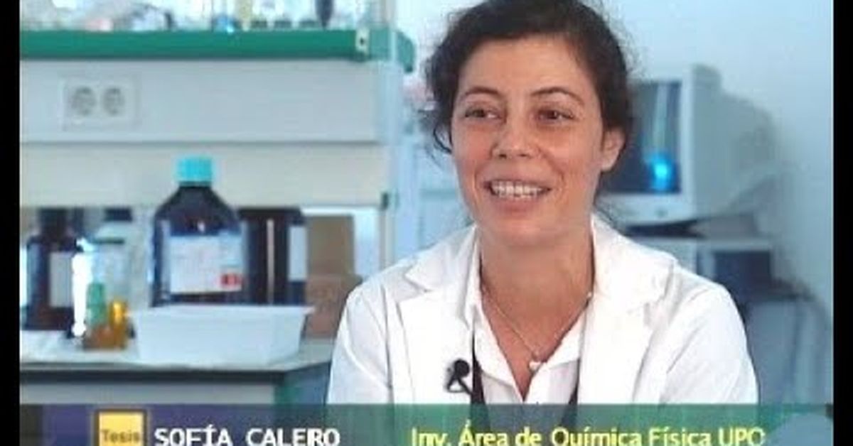 Sofía Calero, investigadora galardonada con el Premio Marie Curie