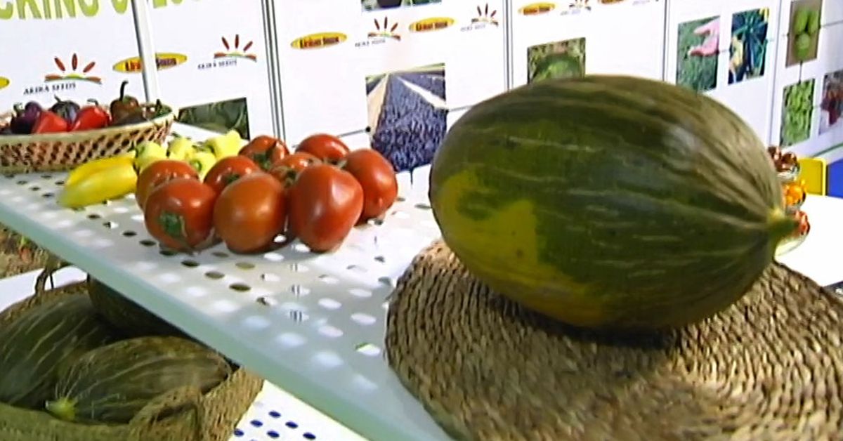 Infoagro abrió sus puertas en Almería