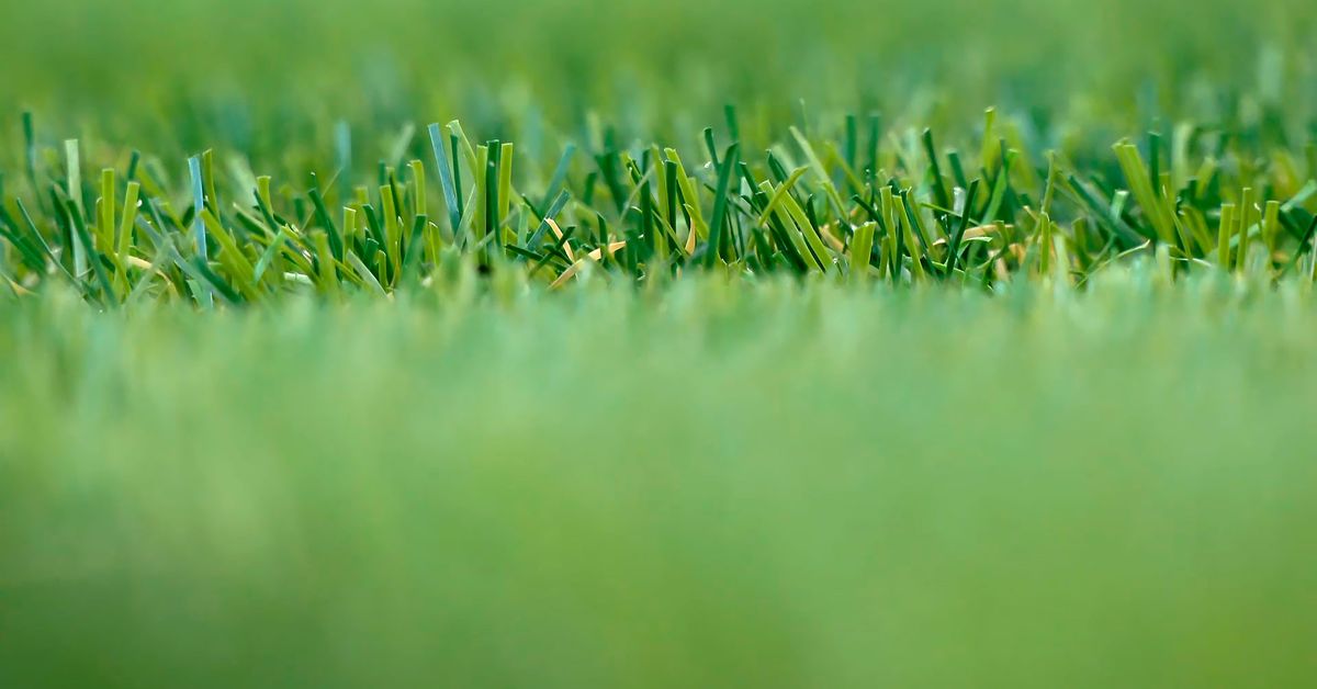 El boom del plástico verde