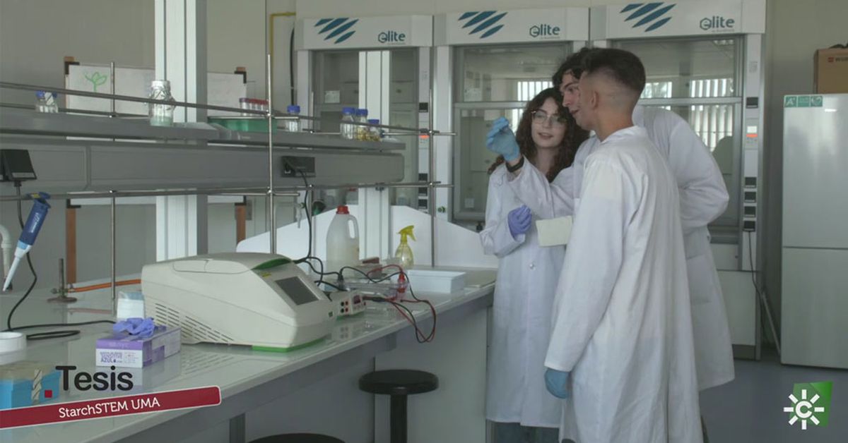El reto de la investigación sobre la bacteria E. coli