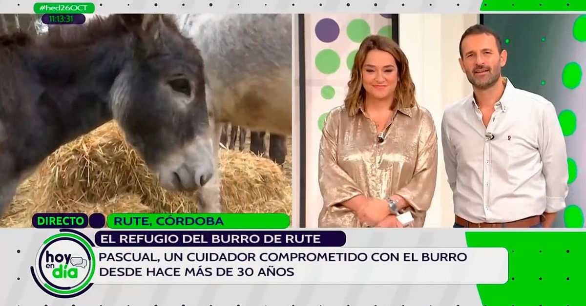 Conocemos a 'Lolo', el burro de la reserva de Rute amadrinado por Toñi ...