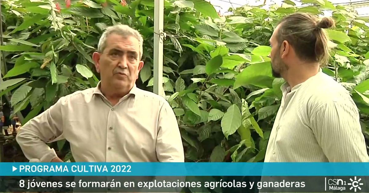 Los jóvenes Erasmus rurales empiezan a llegar a Málaga