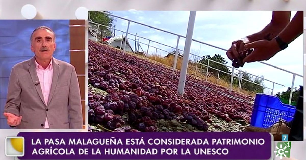 Las uvas pasas valen su precio en oro