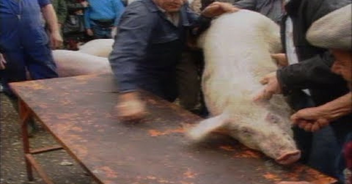 La matanza del cerdo en Pampaneira (1993)