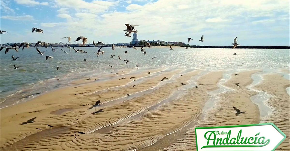 Turismo marinero por Isla Cristina, en "Destino Andalucía"