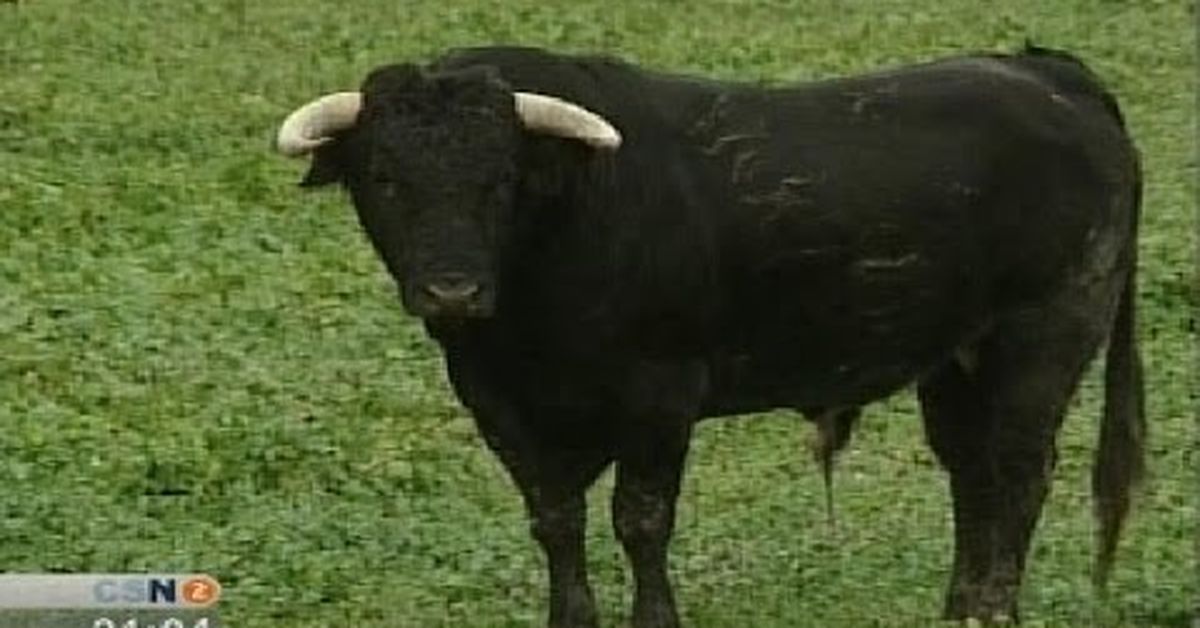 Bravura de los toros: fórmula matemática