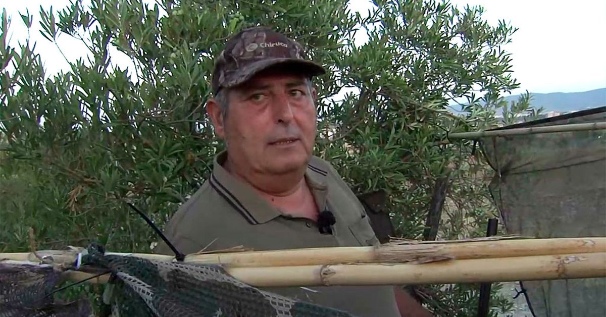 Jornada de caza de palomas al paso