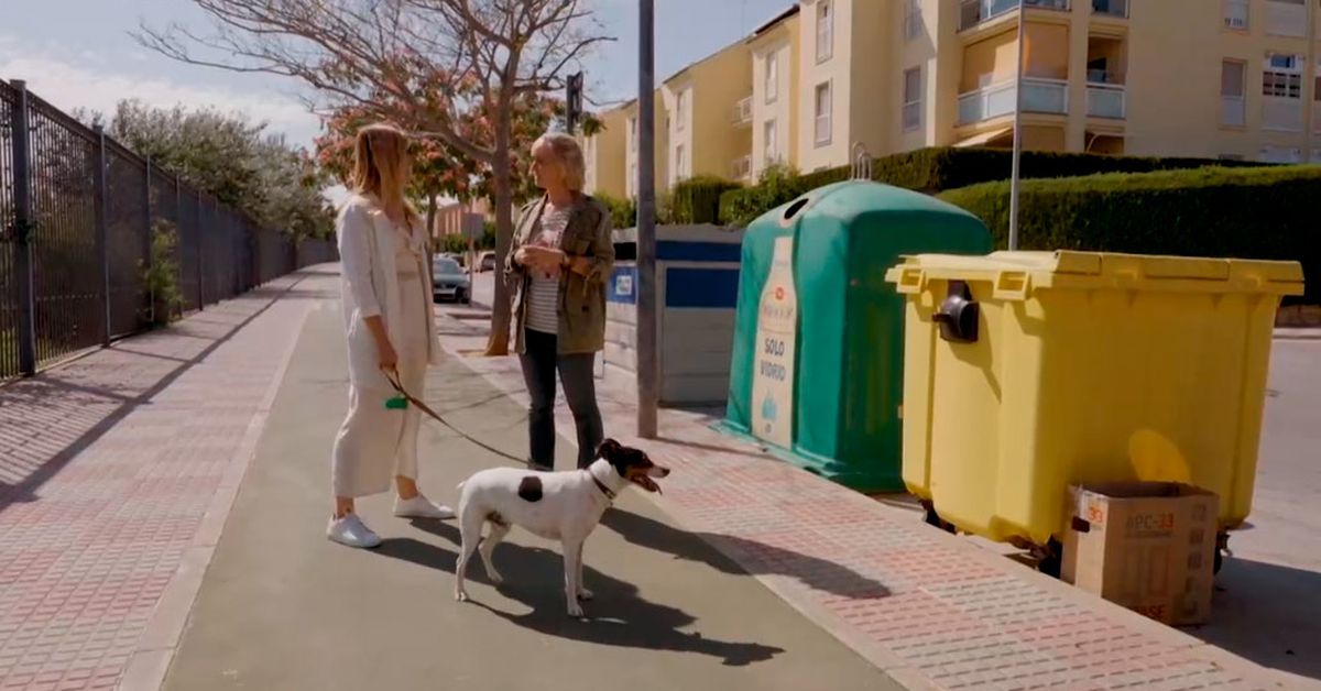 La historia de superación de Buddy, un perrito rescatado de la basura