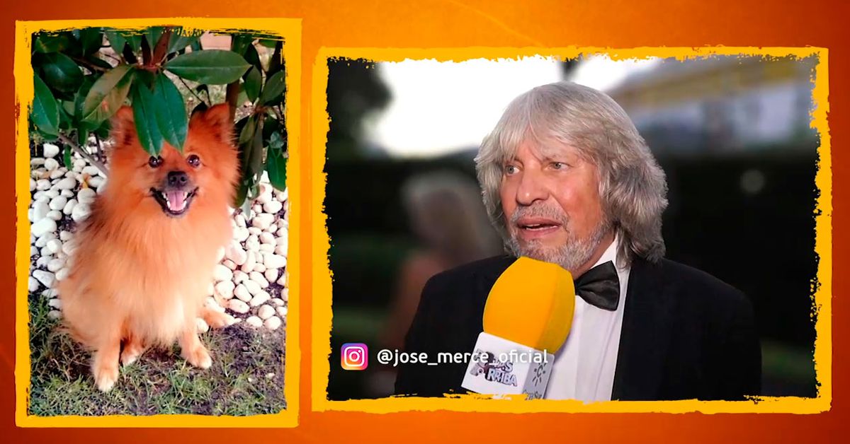 José Mercé airea su relación con su perrito Boro