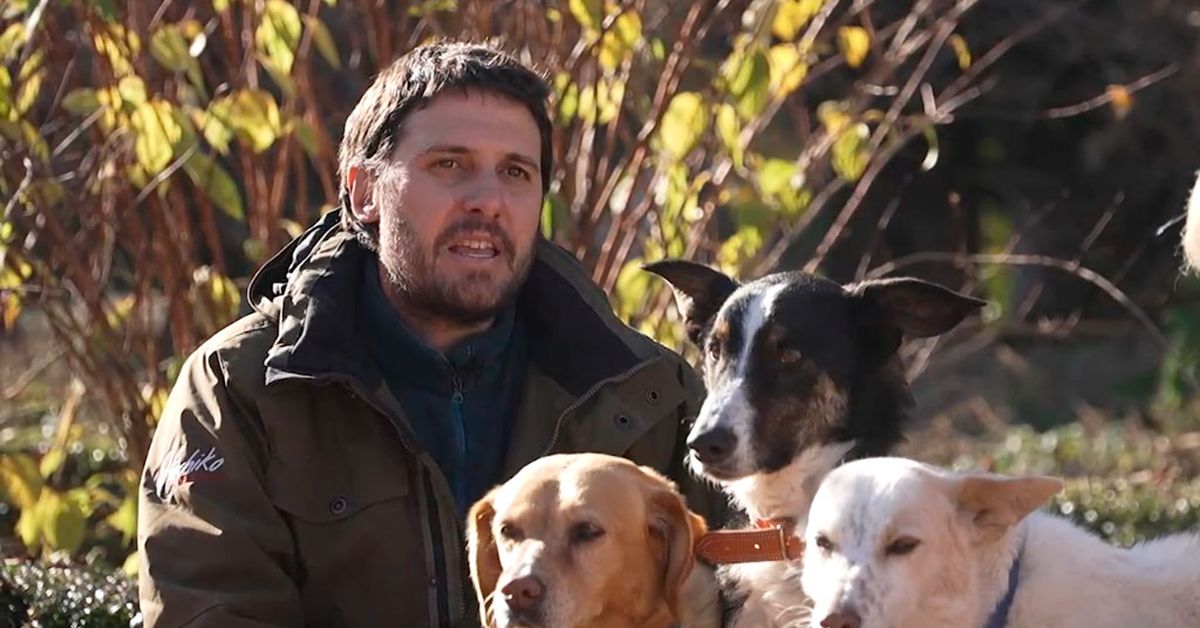 Pekas, el perrito que ha participado en anuncios de tv y en 'Terminator'