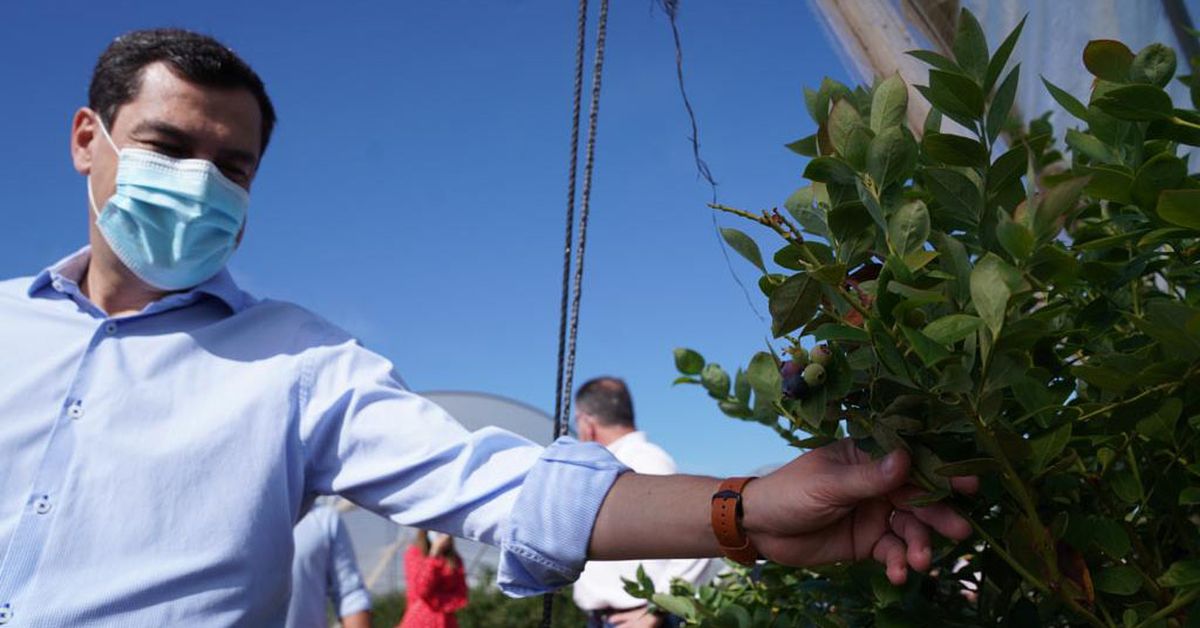 Moreno destaca la importancia del sector agroalimentario para salir de ...