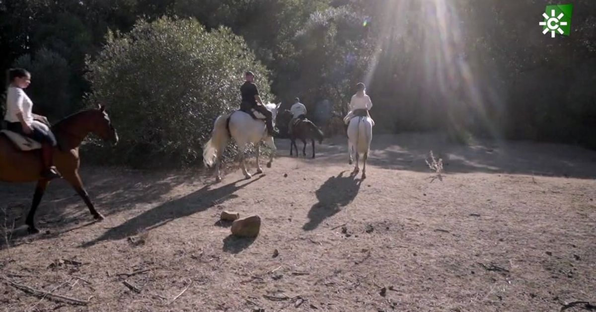 En busca de la berrea del ciervo por el Parque Natural de los ...
