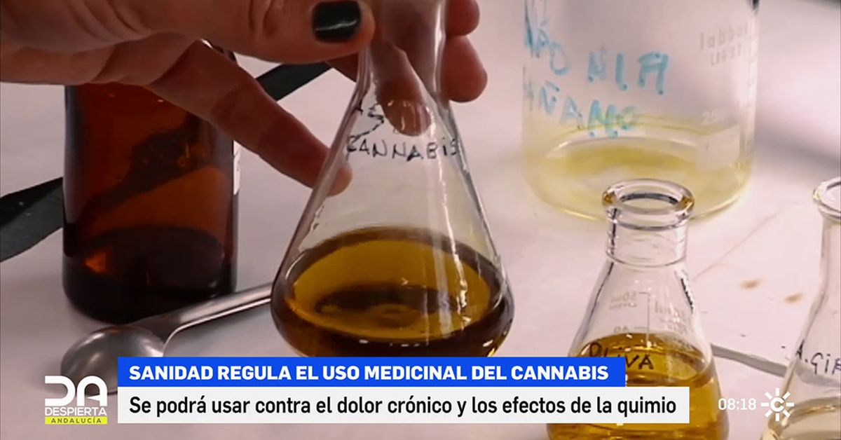Sanidad regula el uso medicinal del cannabis