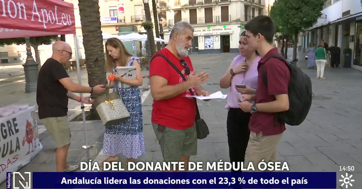 Andalucía lidera las donaciones de médula, con el 23,3 % de todo el país