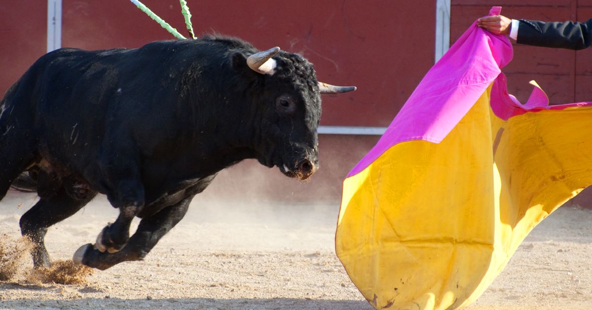 Toros desde Vera para cerrar septiembre, en directo este domingo en ...