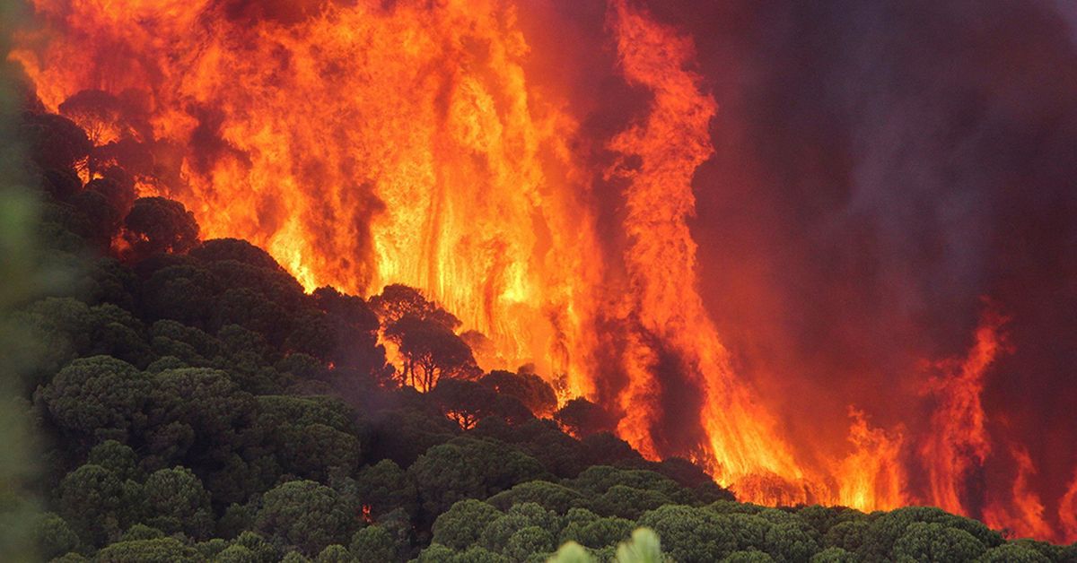 El incendio de Nerva mantiene dos focos activos