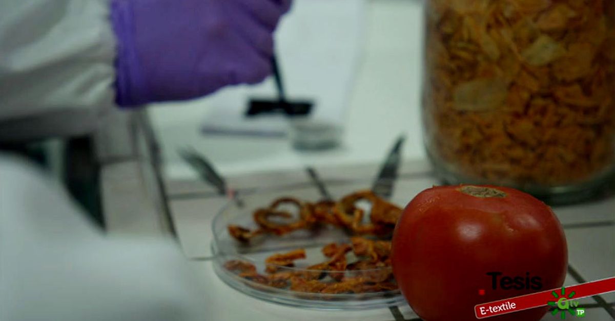 Crean una camiseta que genera electricidad gracias a la piel del tomate
