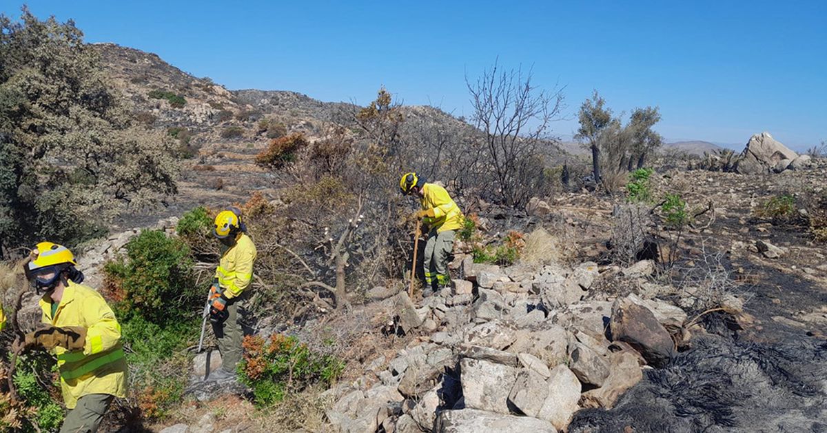 El incendio de Lubrín ha quemado 1.100 hectáreas