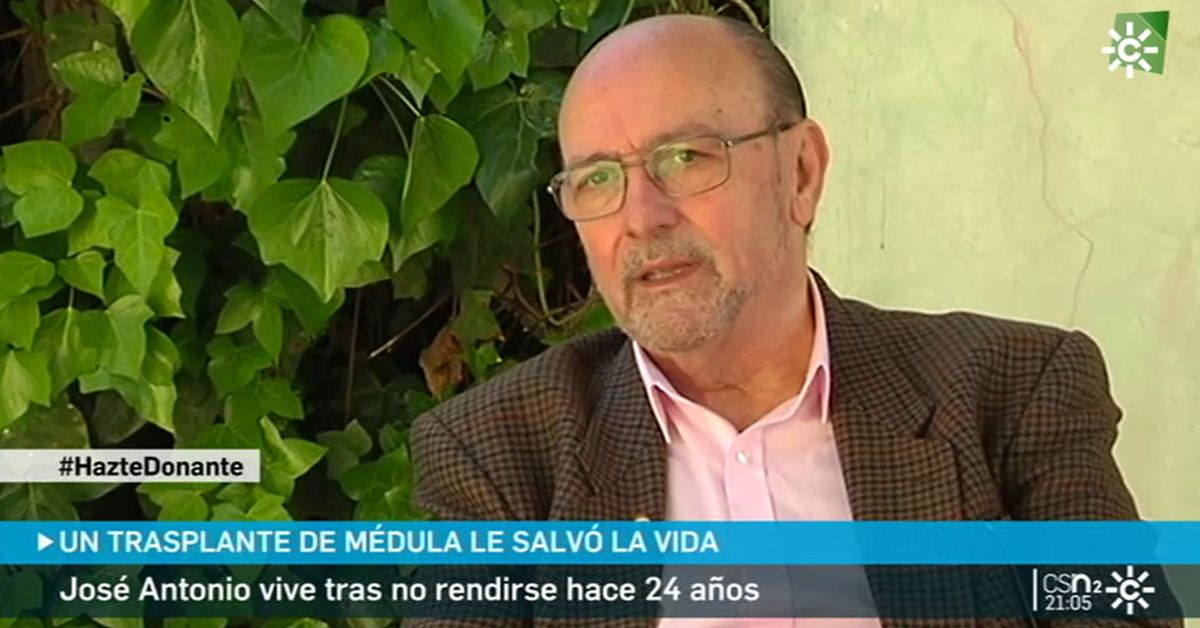 La importancia del Registro Español de Donantes de Médula Ósea
