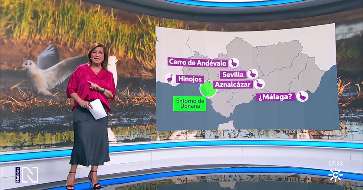 Doñana refuerza sus controles contra la gripe aviar