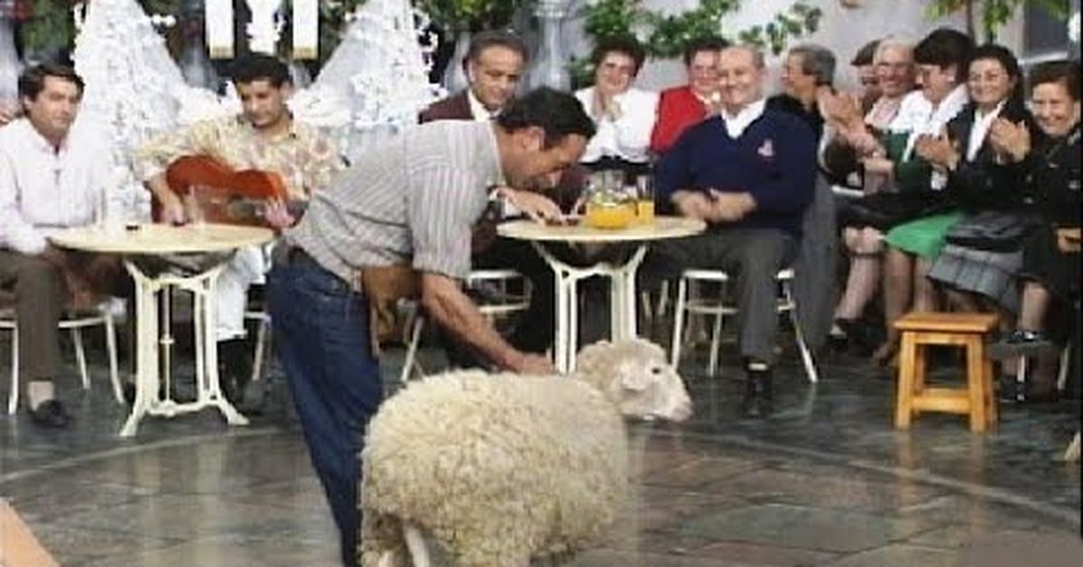La oveja esquilada en directo y los pastores de Añora (1991)